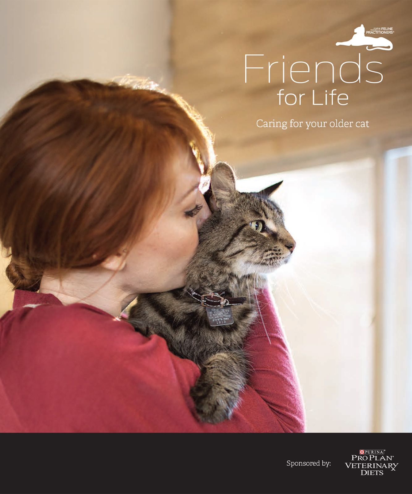 Brochures for Cat Owners - Felinee