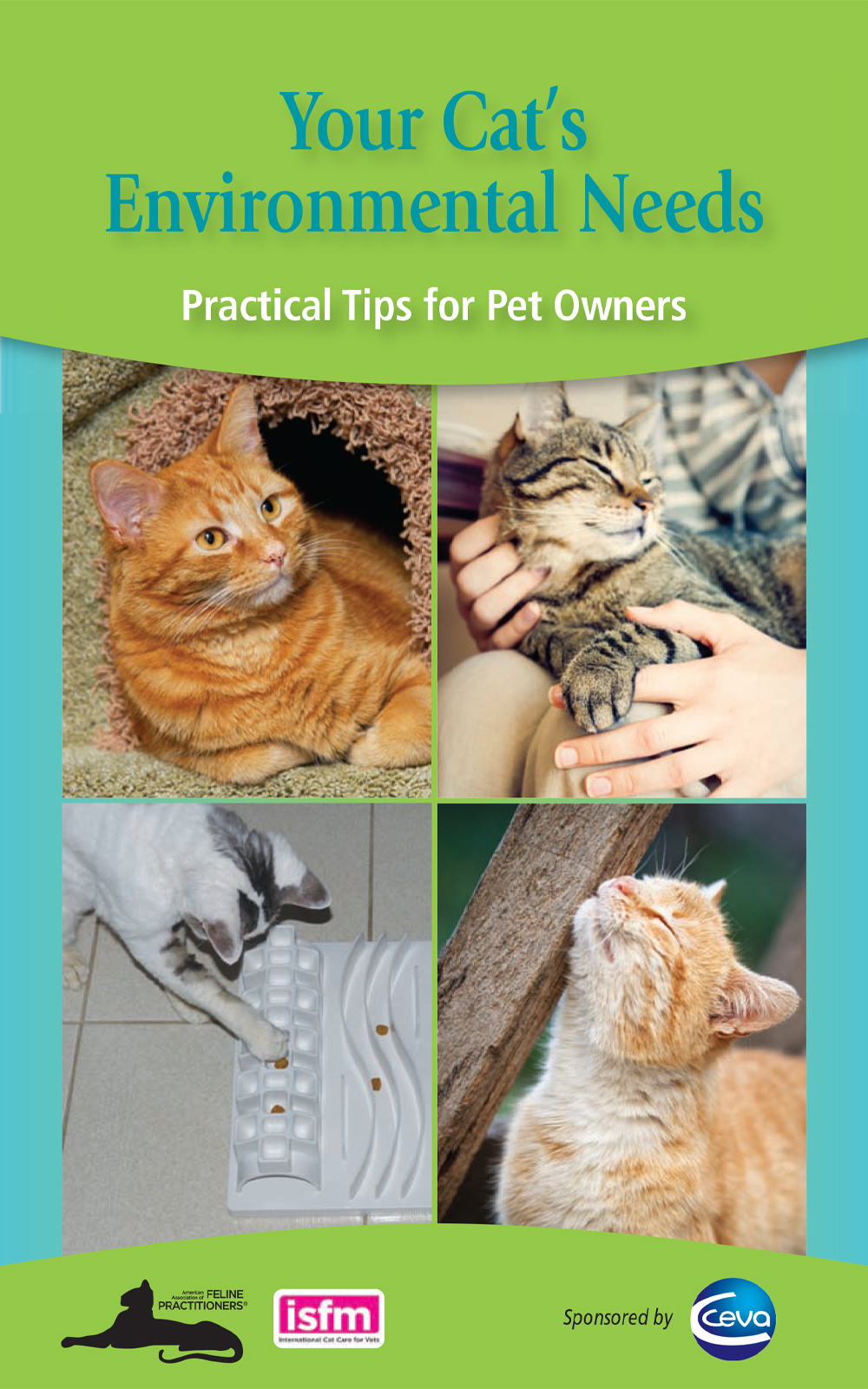 Brochures for Cat Owners - Felinee Cattery